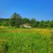 Camping At Mississippi Palisades State Park: Unveiling The Hidden ...