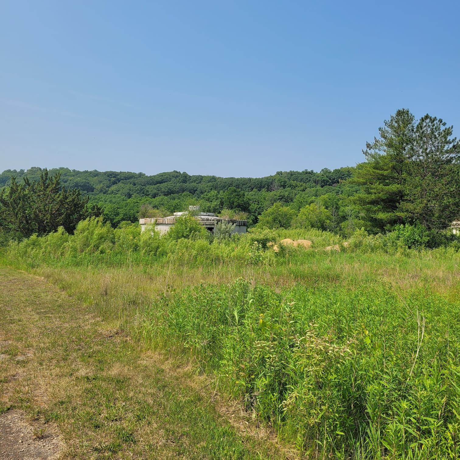 Exploring Abandoned Illinois: 5 (Legal) Spots You Need to Visit