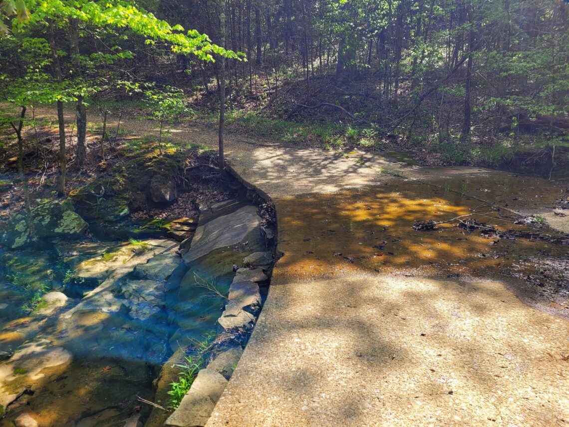 The Complete Ferne Clyffe State Park Trail Guide