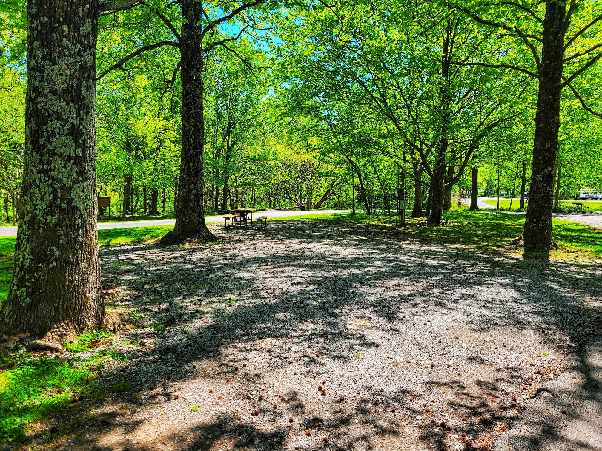 A Nature Lover's Paradise: The Ultimate Ferne Clyffe State Park ...