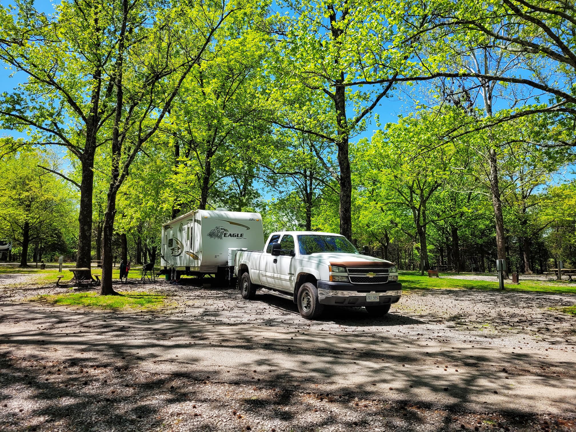 A Nature Lover's Paradise: The Ultimate Ferne Clyffe State Park ...