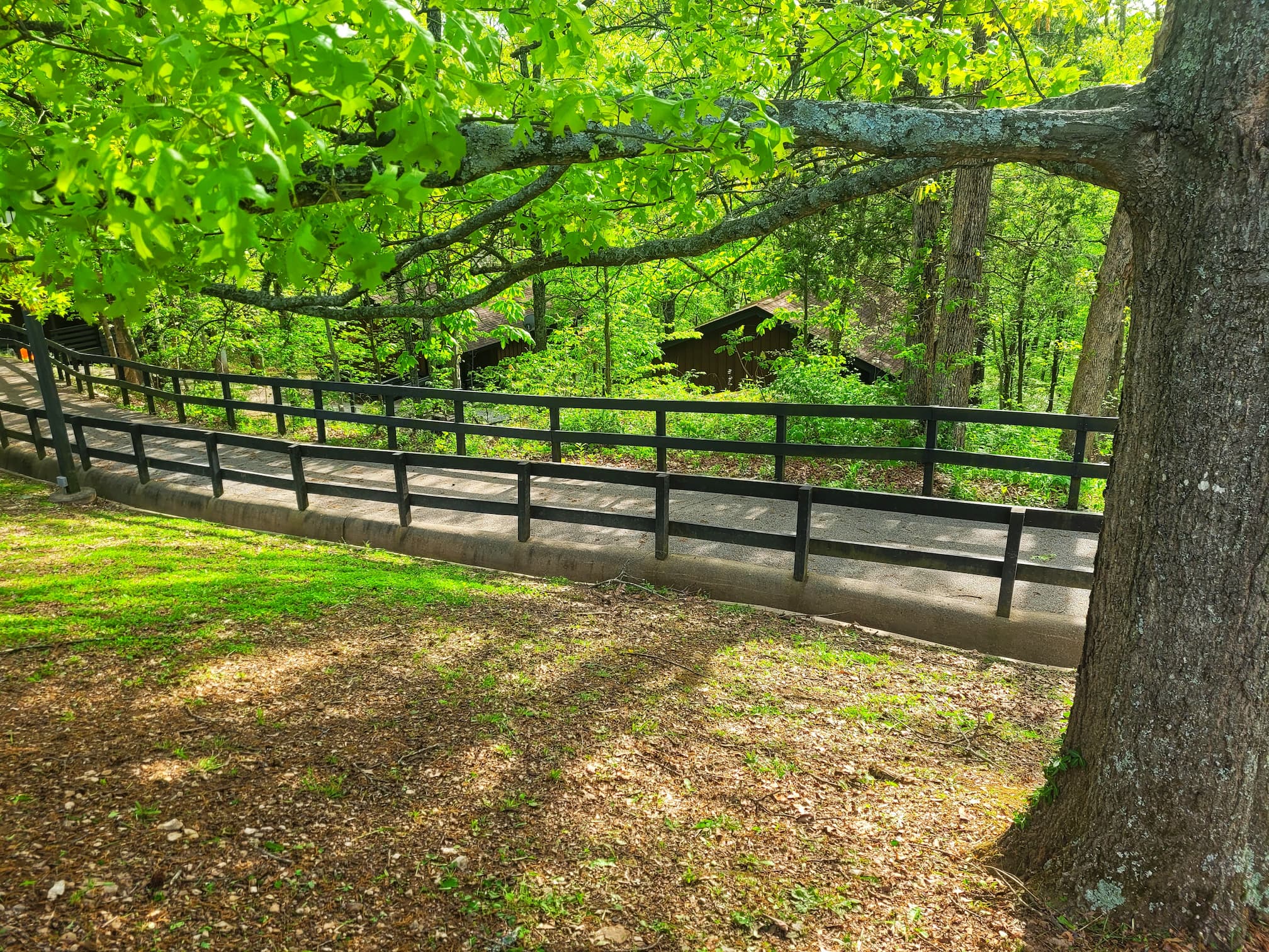 Exploring the Wonders of Giant City State Park: Guide and Review