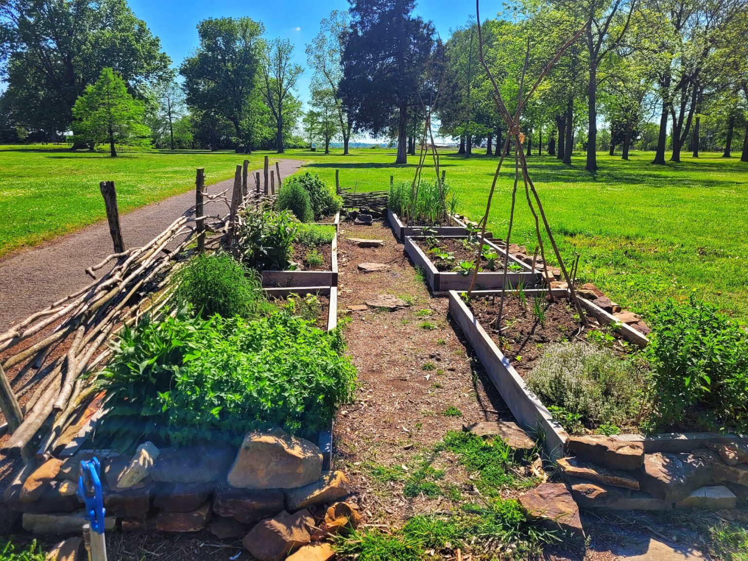Fort Massac State Park Campground Guide & Review