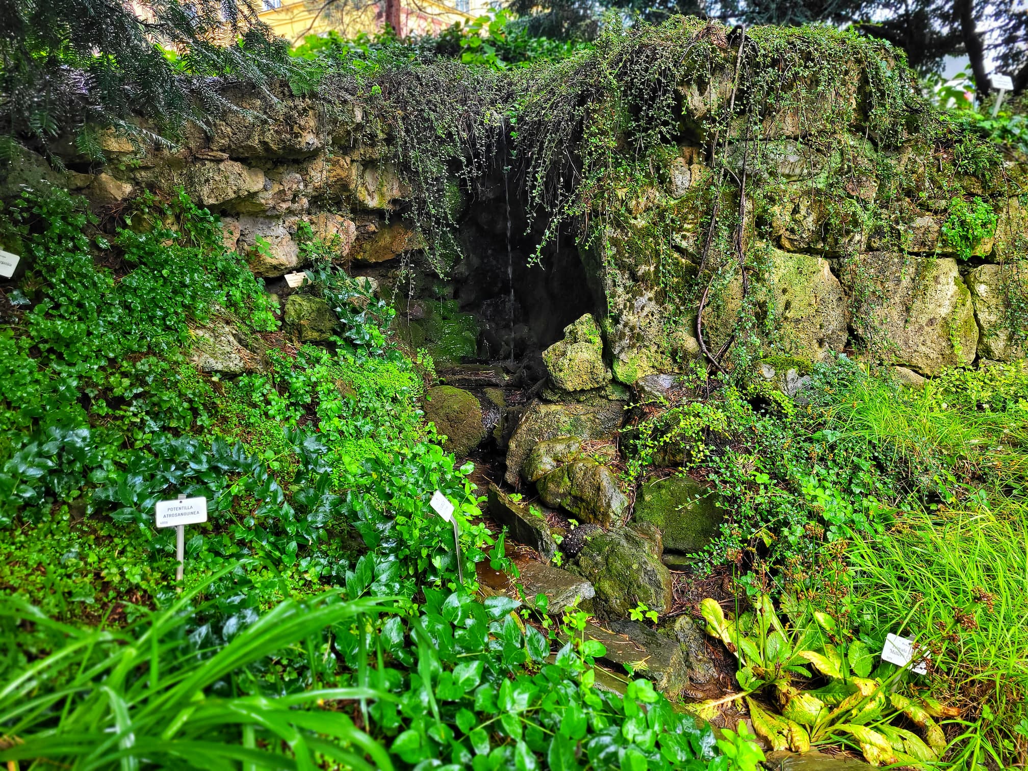 Croatia Trip Day 11: Zagreb Botanical Garden