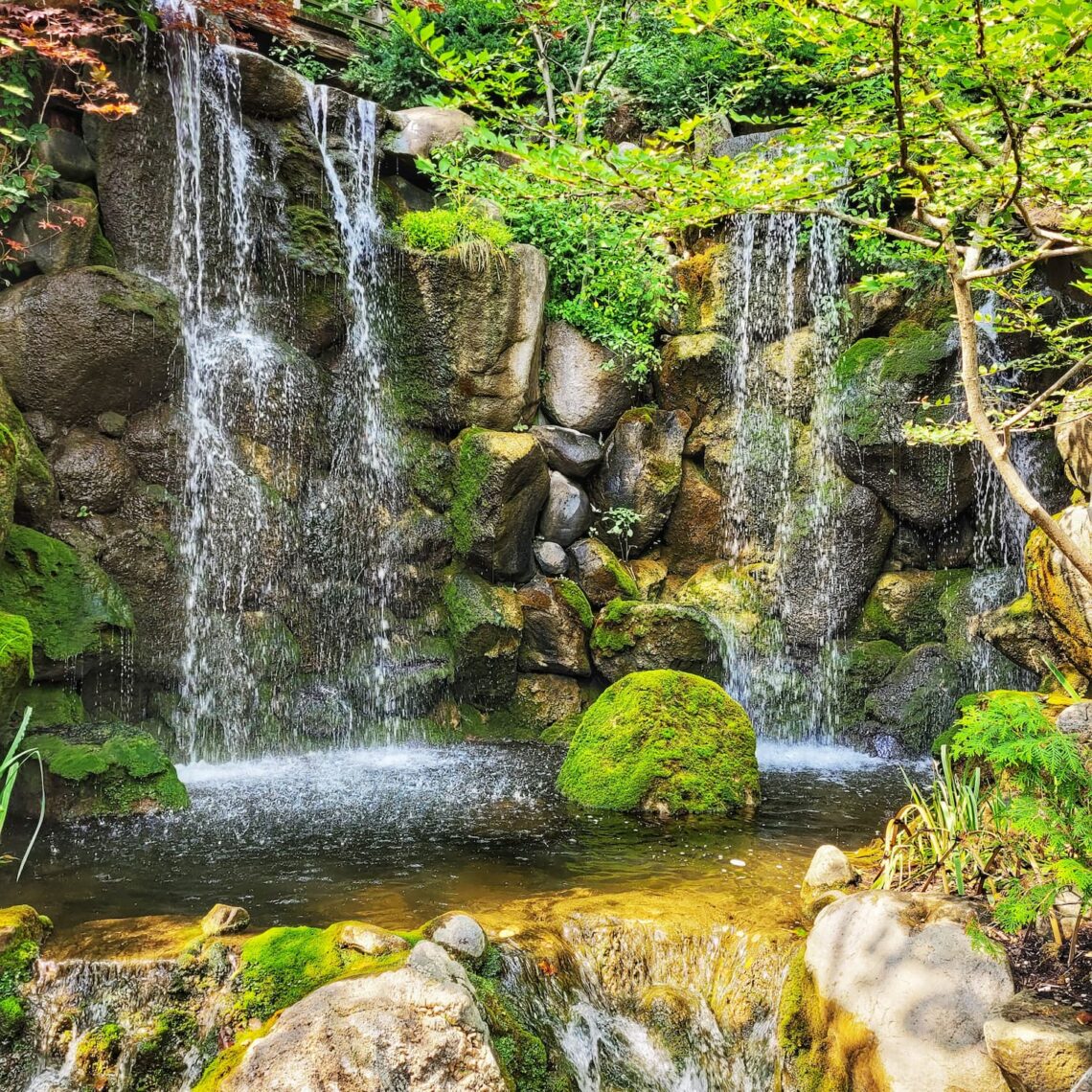 15 Things You Need to Do in Rockford, Illinois