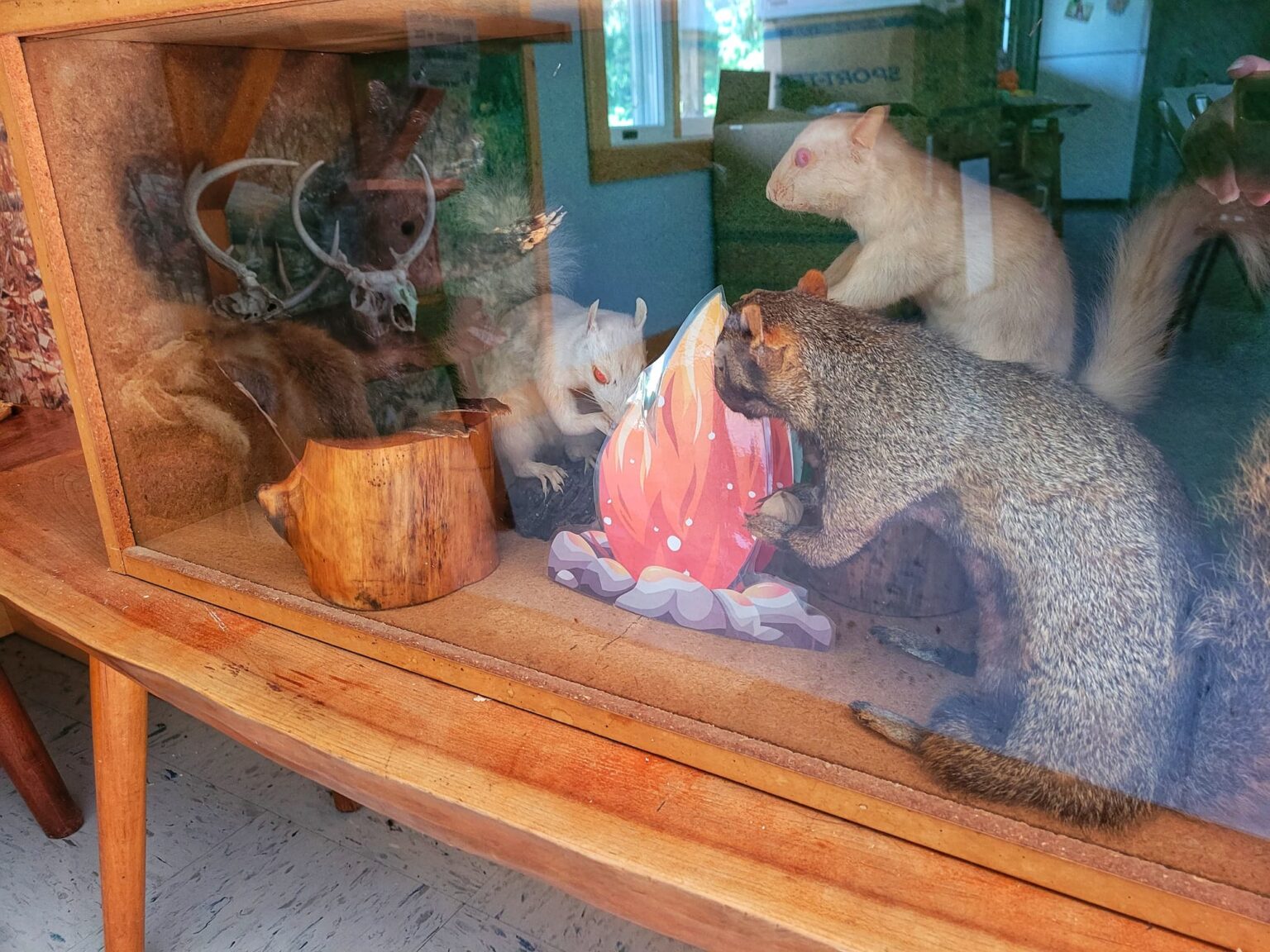 Your Ultimate Guide to Camping at Blackhawk Lake: A Highland, Wisconsin ...