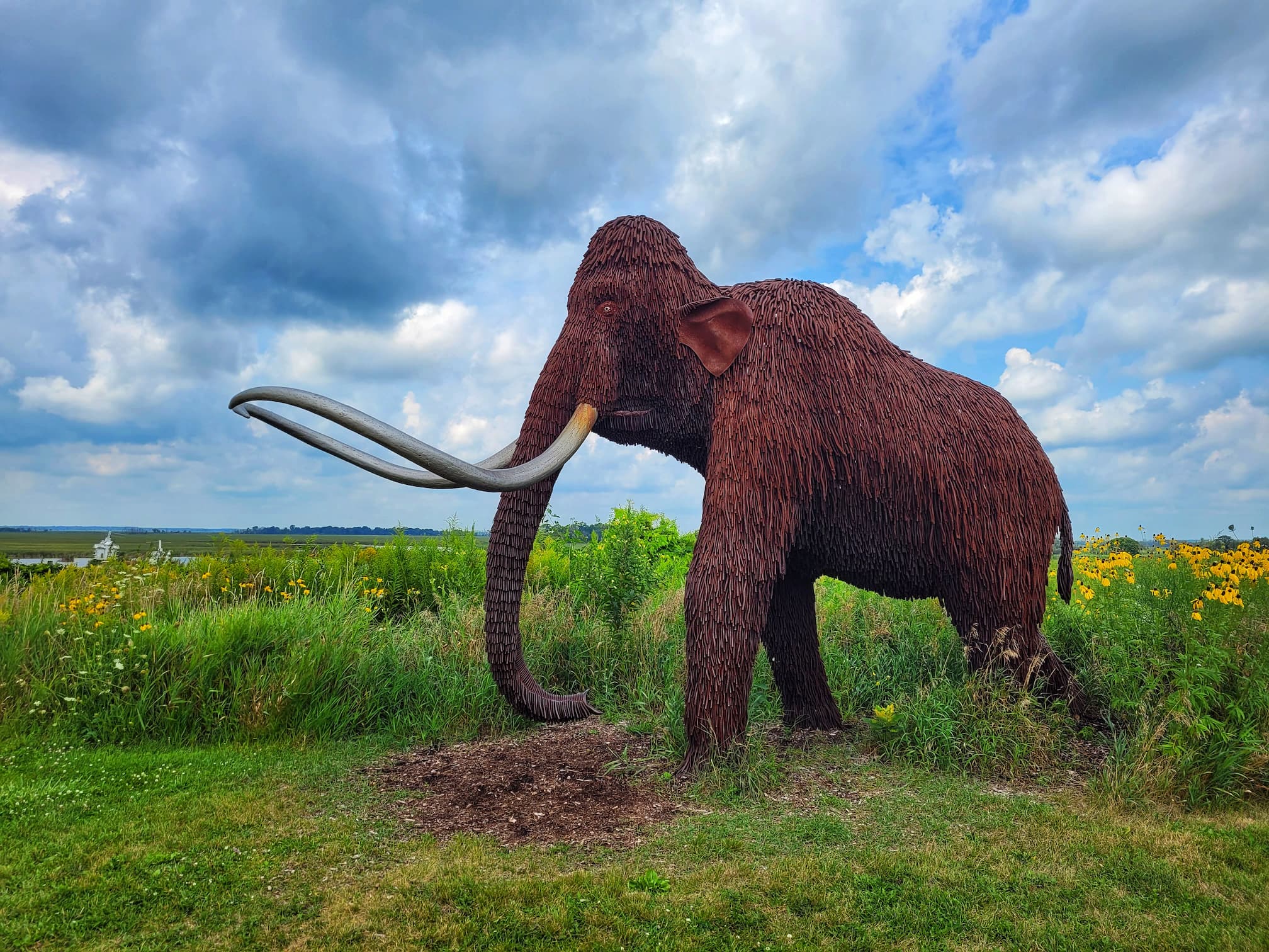 Exploring Astico Park: A Complete Guide to Camping Near Madison, WI