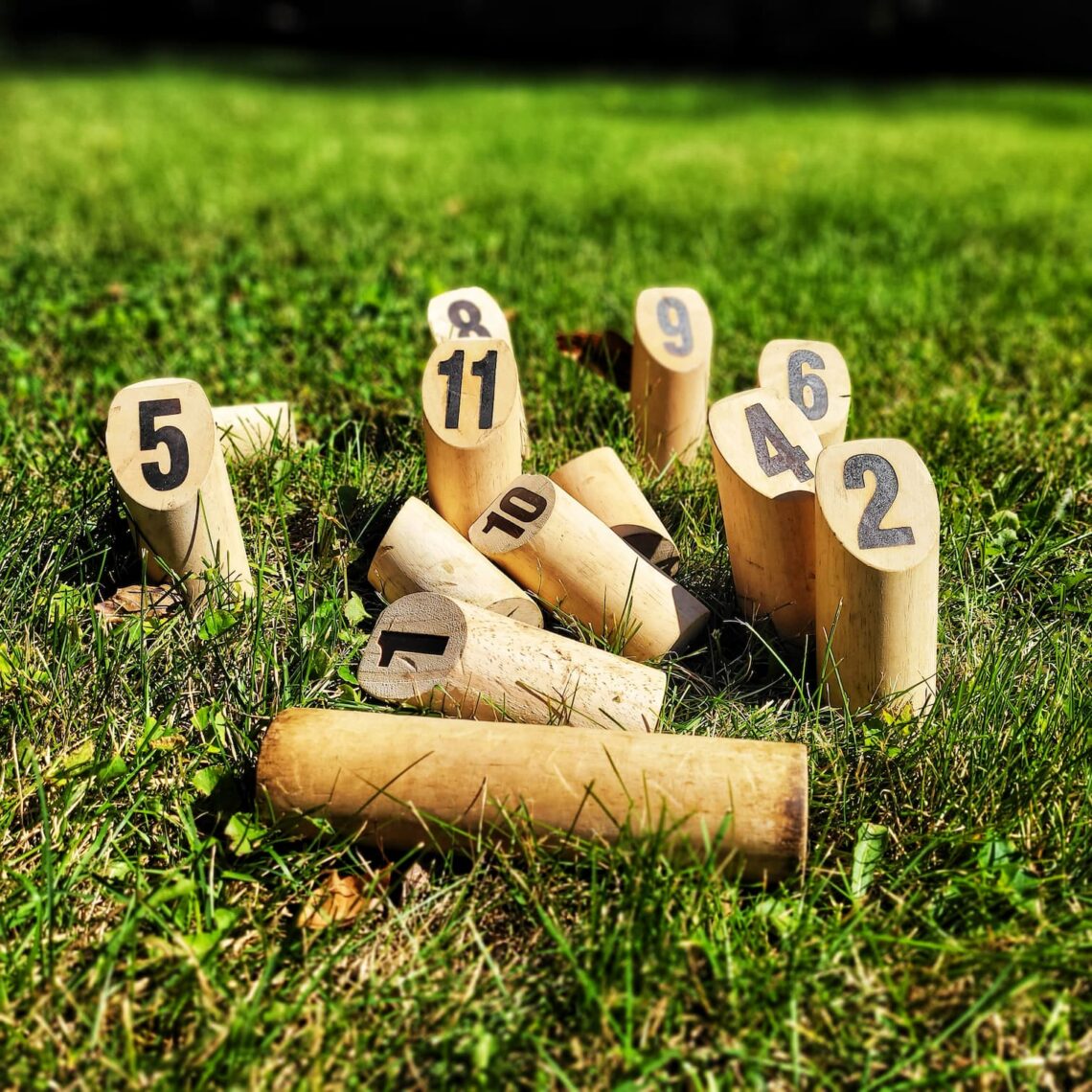 Comlara Park Campground Guide: Lakeside Fun in Central IL