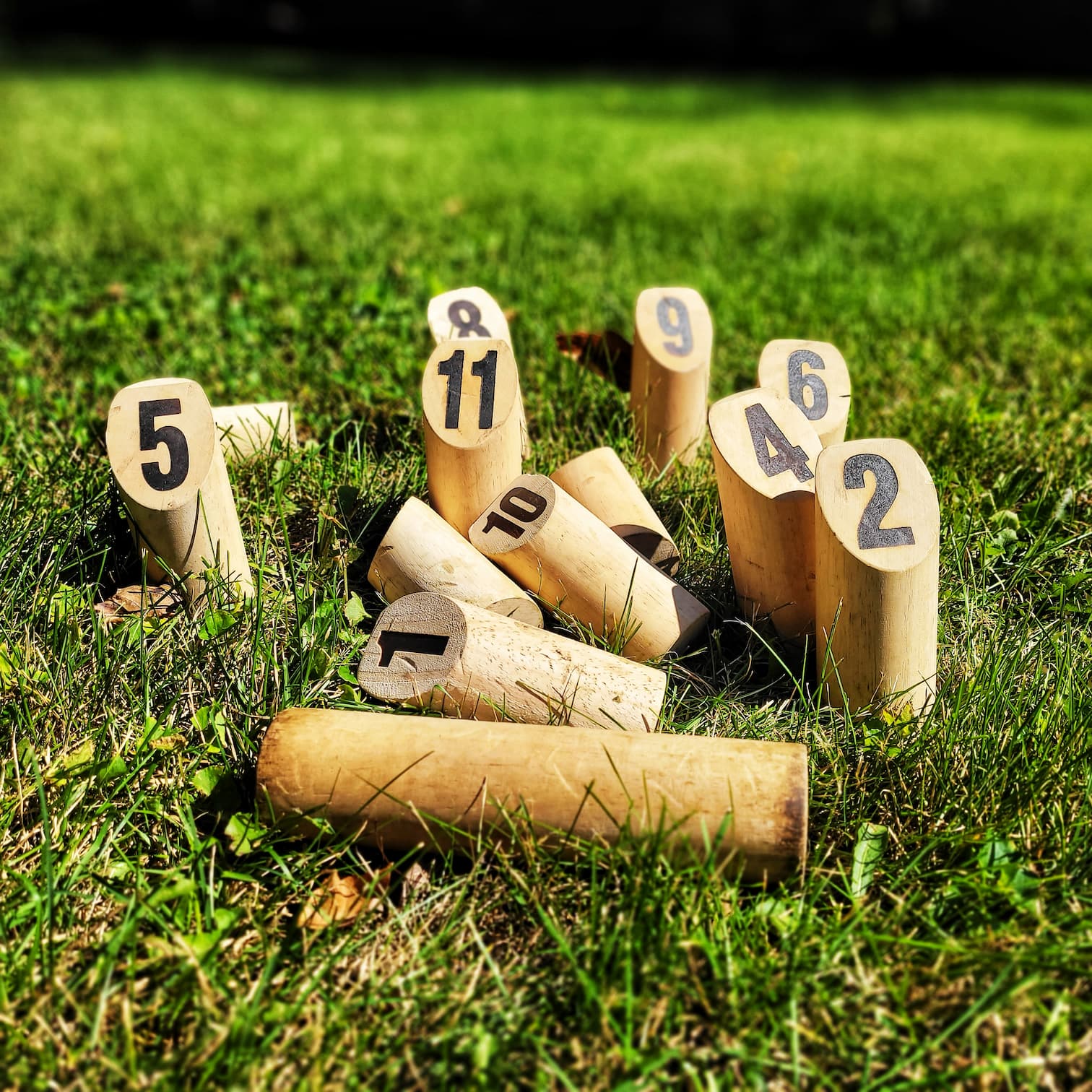 Comlara Park Campground Guide: Lakeside Fun in Central IL