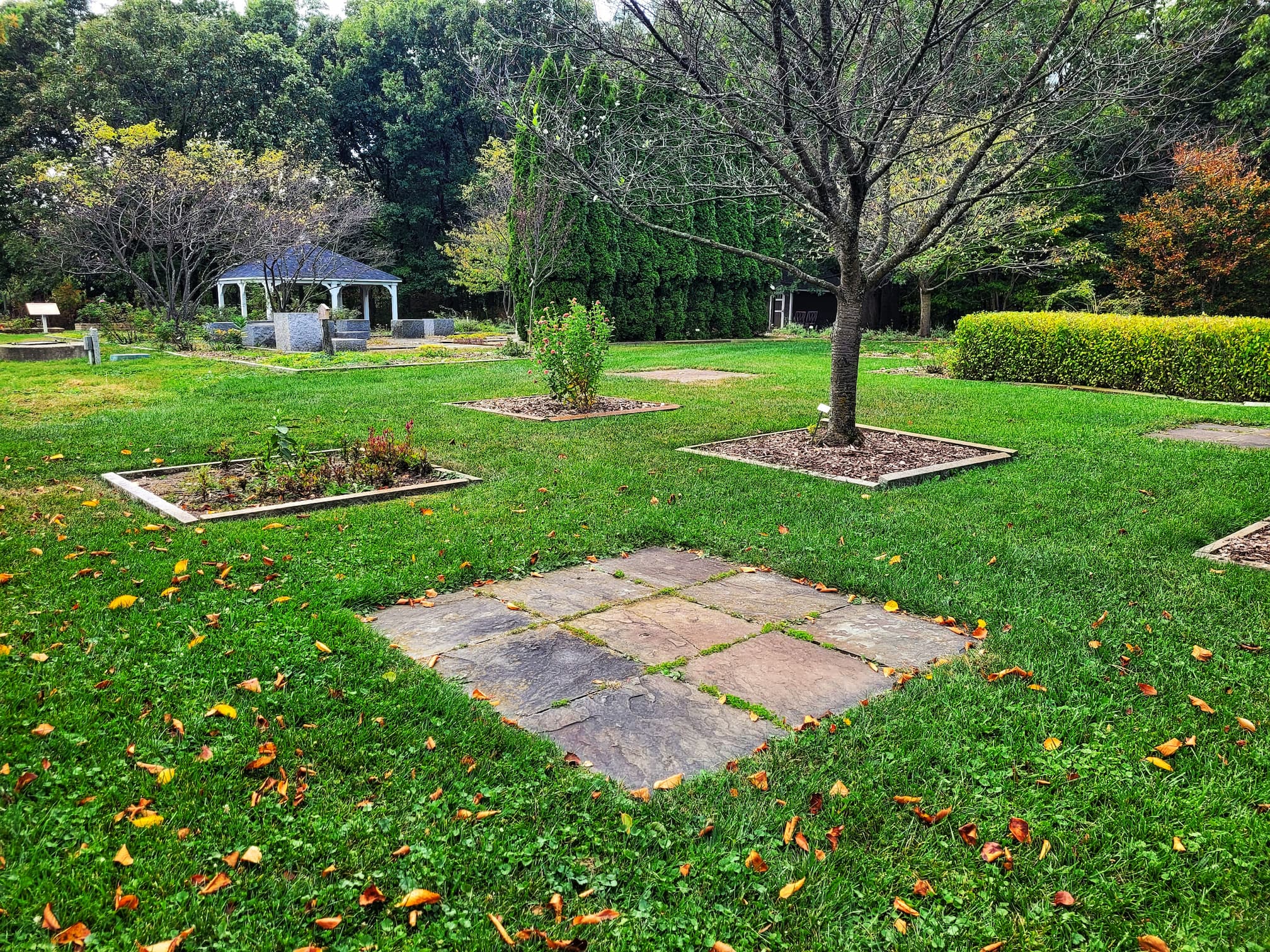 A Day at Gabis Arboretum: The Magic of the Railway Garden and Beyond