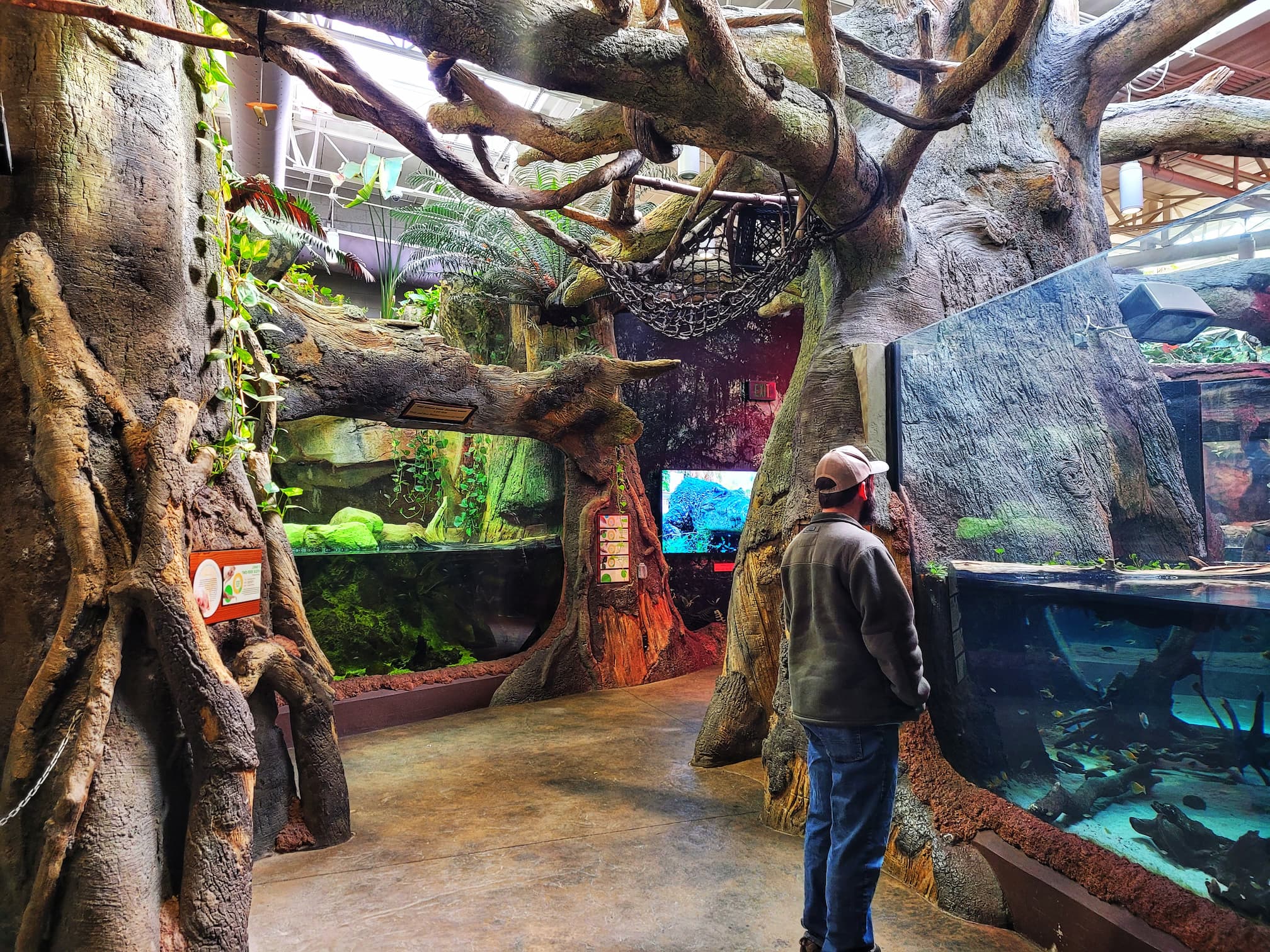 Everything You Need to Know for a Great Day at Zoo Knoxville