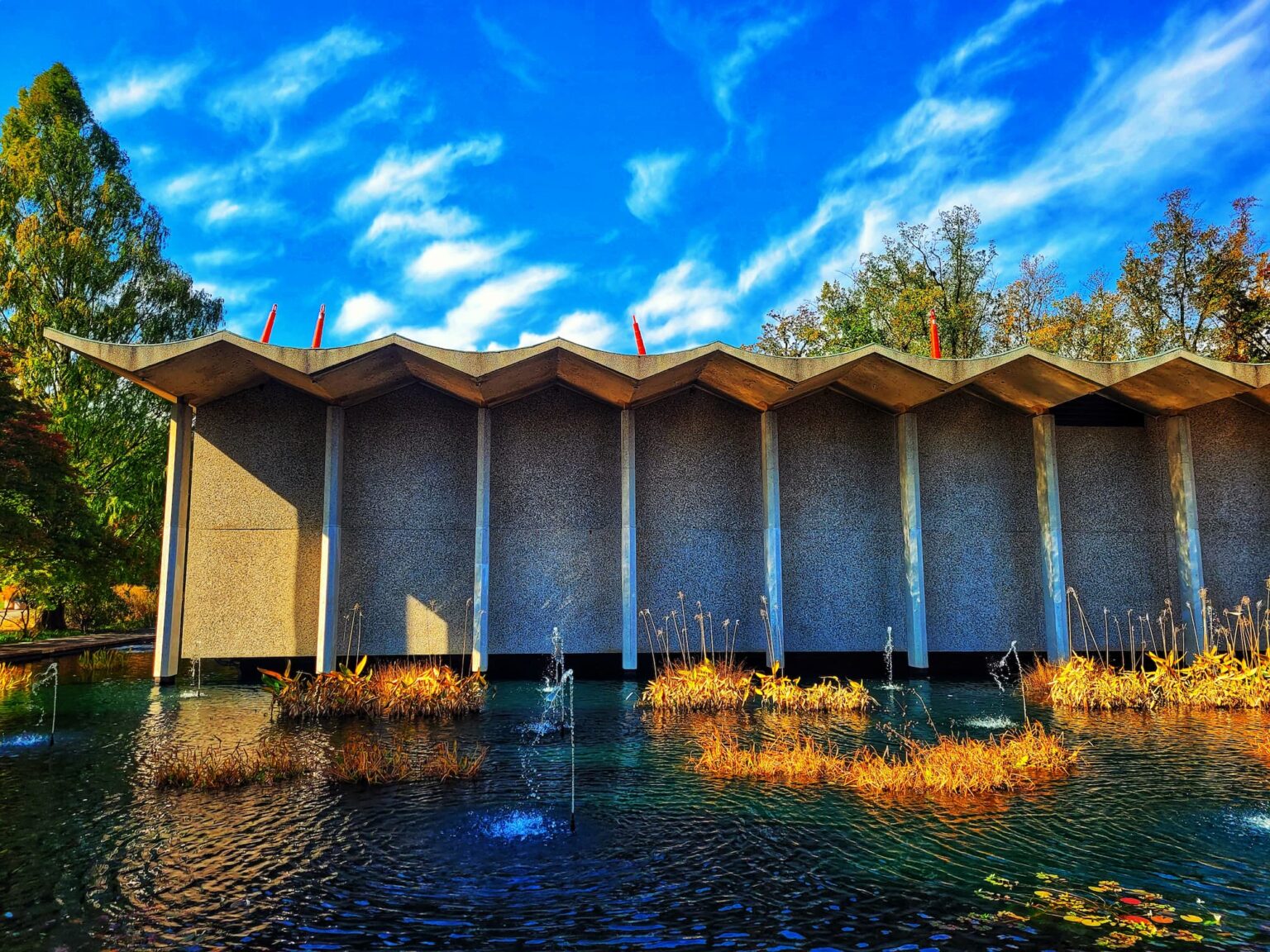 Visiting the National Arboretum: Everything You Need to Know