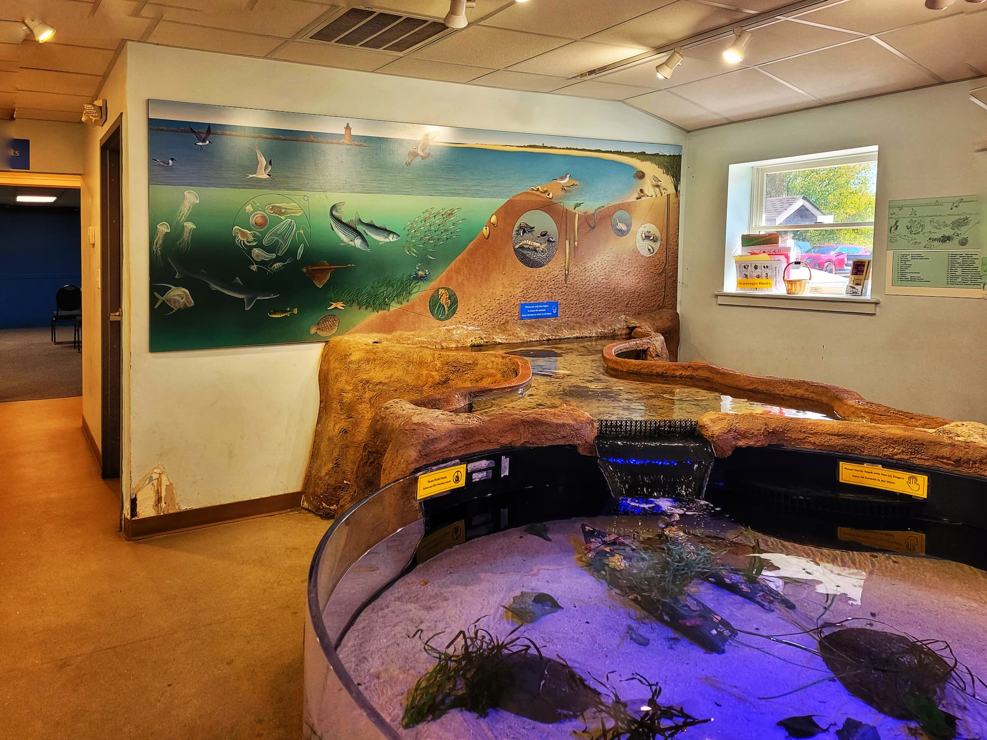 Cape Henlopen State Park: Everything You Need to Know Before You Go