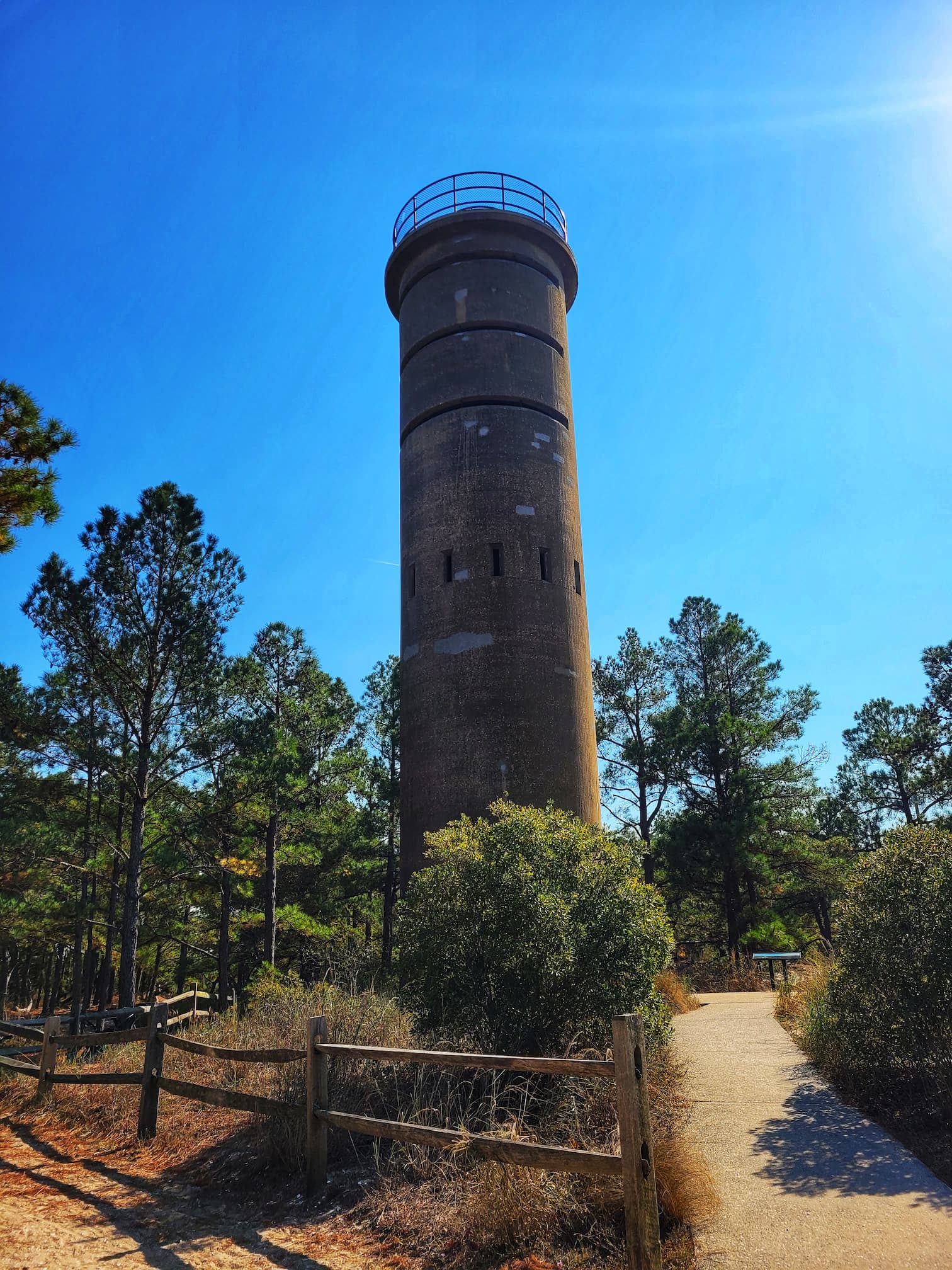 Cape Henlopen State Park: Everything You Need to Know Before You Go