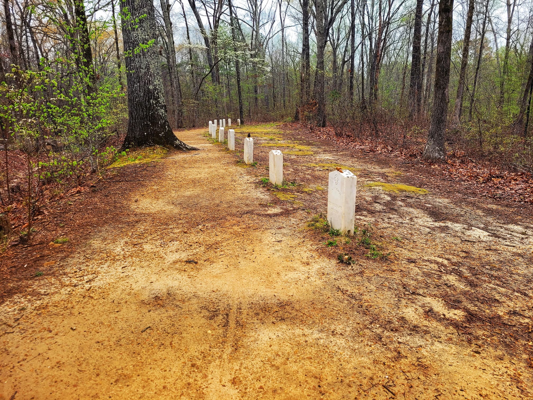 Driving the Natchez Trace Parkway: A Complete Guide to Mile Markers 261 ...