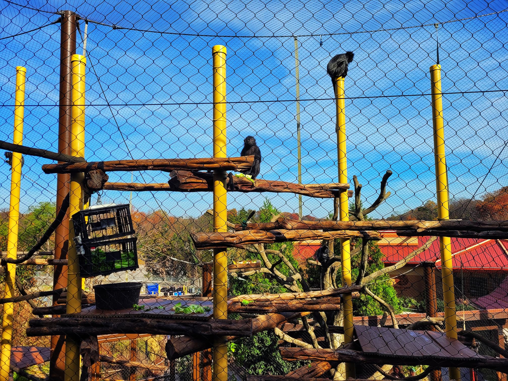 Everything You Need to Know for a Great Day at Zoo Knoxville