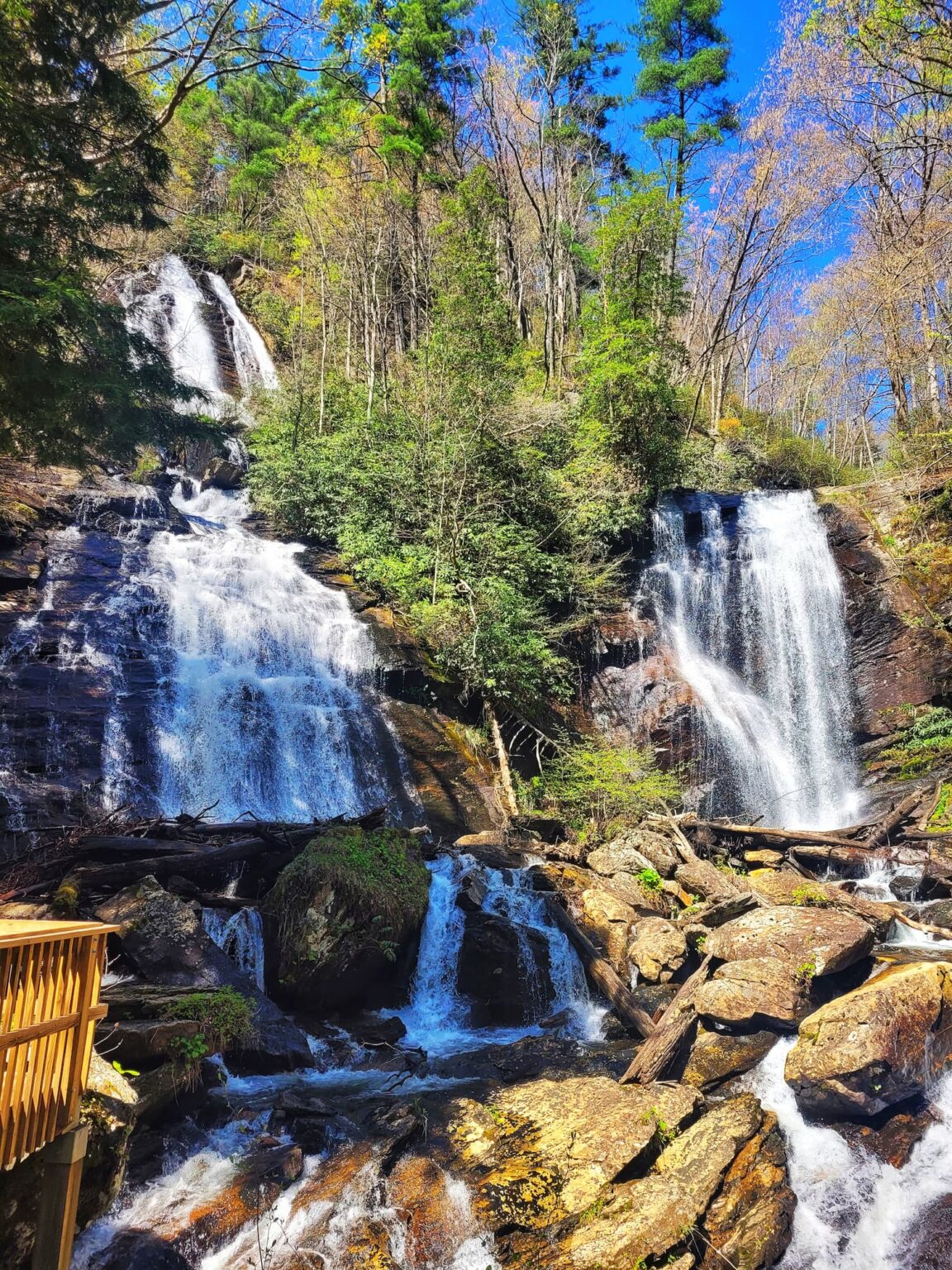 Exploring Northern Georgia: What We Did in a Week of Full-Time RV Life