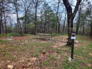 Cheaha State Park for Highpointers: What to Expect at Alabama’s Highest ...