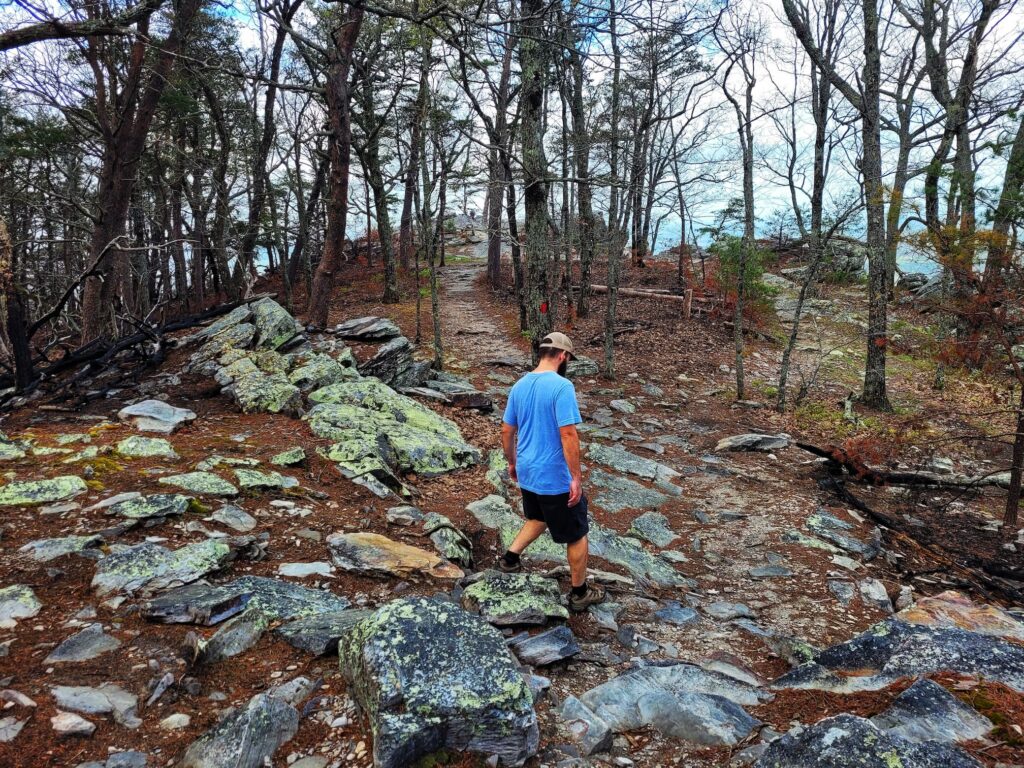 Cheaha State Park for Highpointers: What to Expect at Alabama’s Highest ...