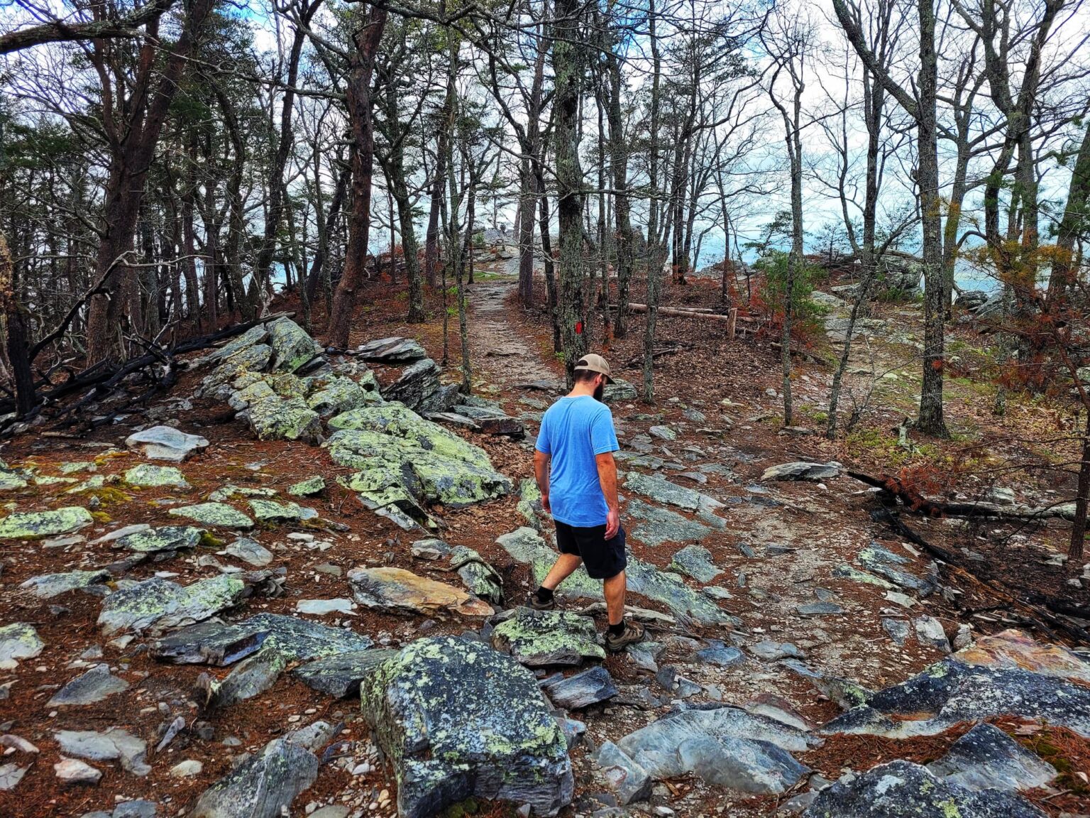 Cheaha State Park for Highpointers: What to Expect at Alabama’s Highest ...