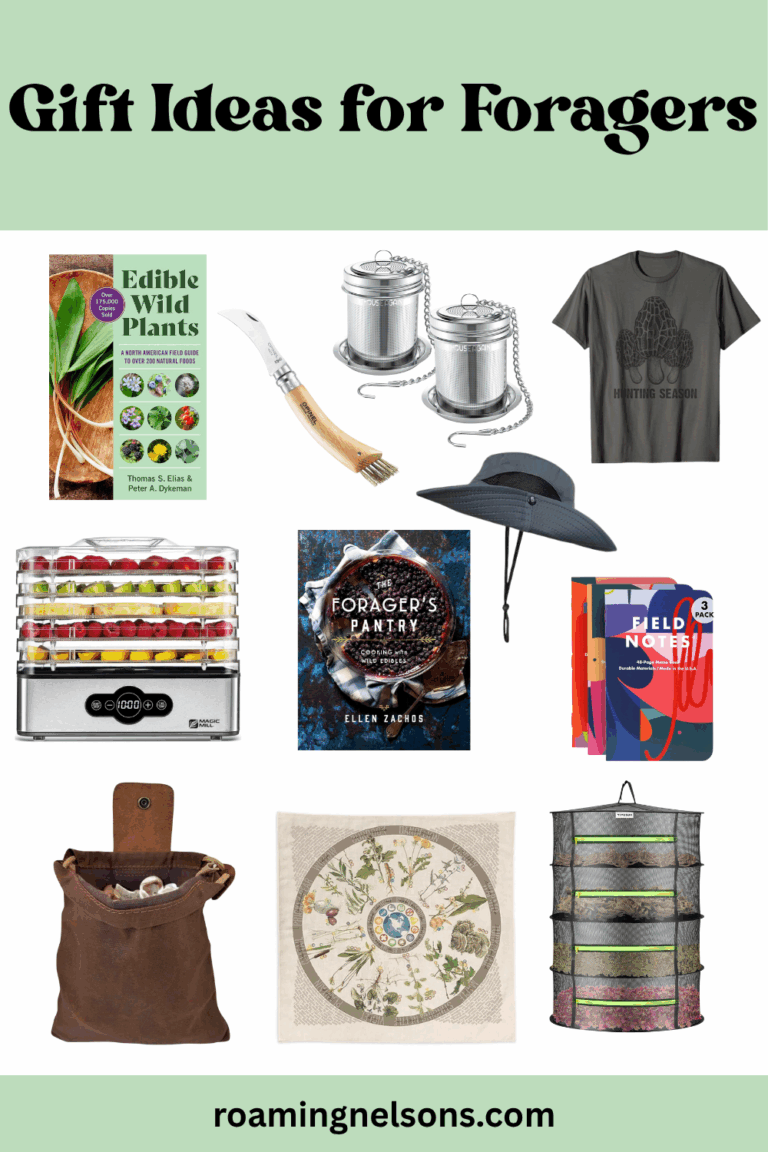 240+ Best Gifts for RVers, Campers & Vanlifers in 2025 (Full Gift Guide ...