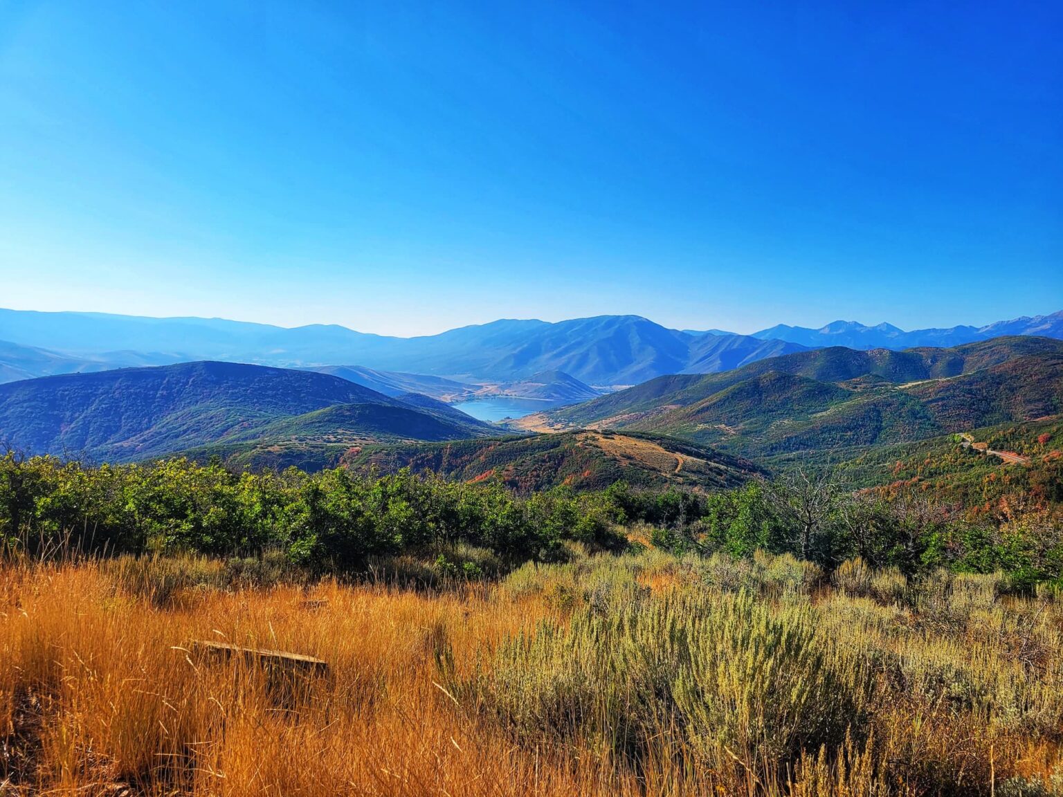 Ultimate Guide to Camping in Wasatch Mountain State Park, Utah