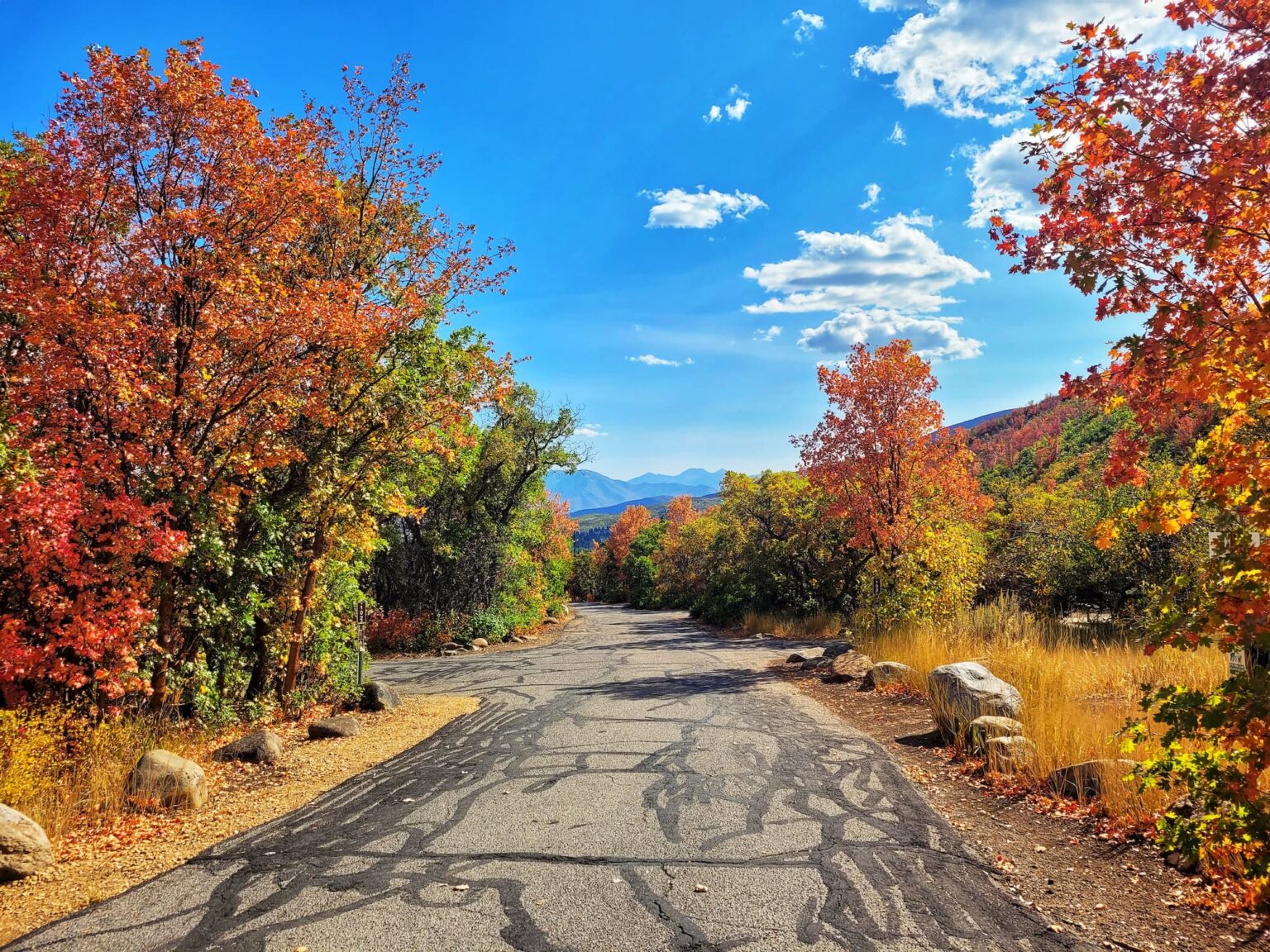 Ultimate Guide to Camping in Wasatch Mountain State Park, Utah