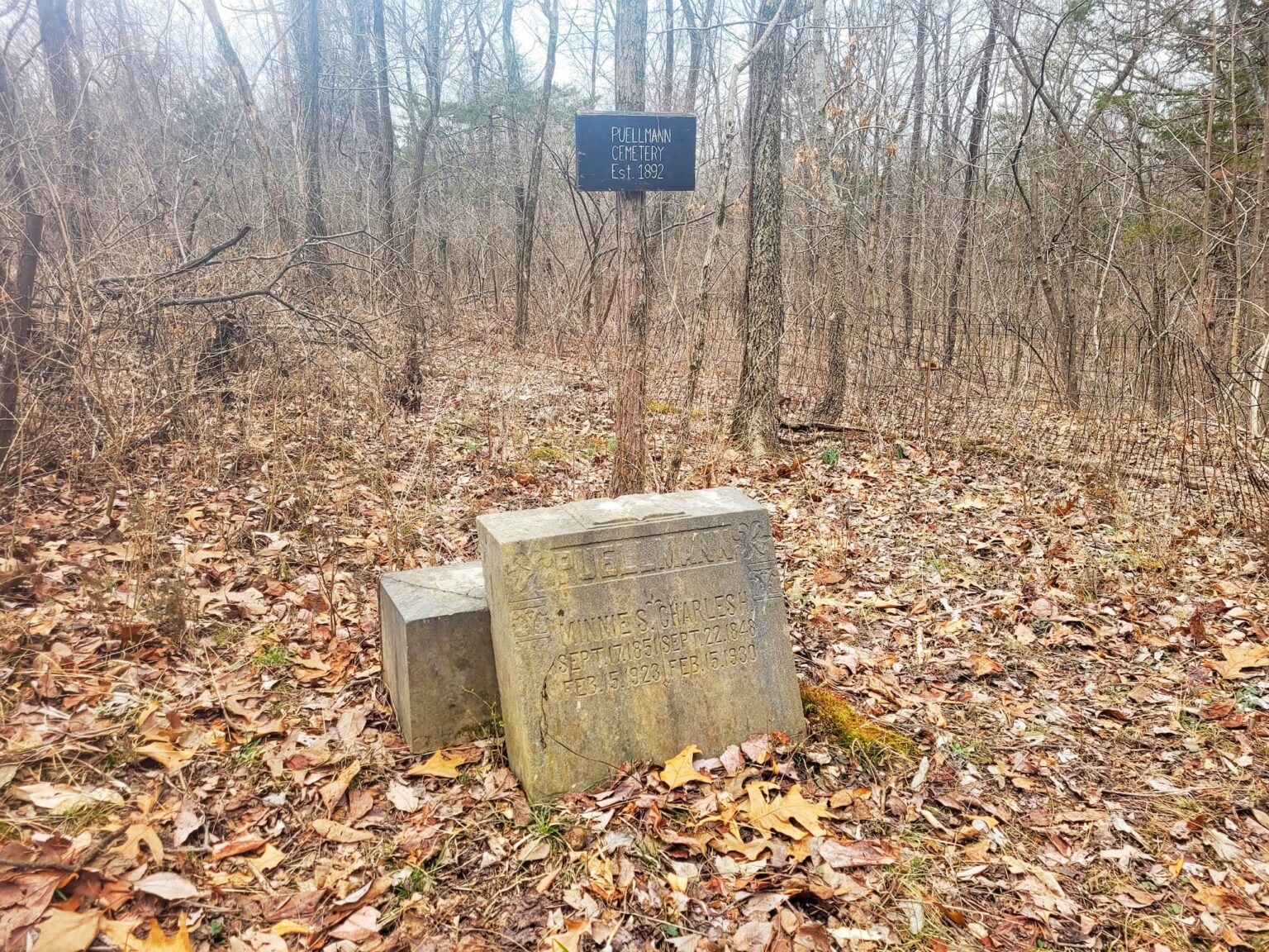 Babler State Park: One of the Best Campgrounds Near St. Louis